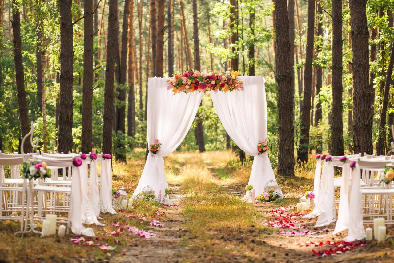 Forest Wedding Ideas: 39 Options We Love | Wedding Spot Blog